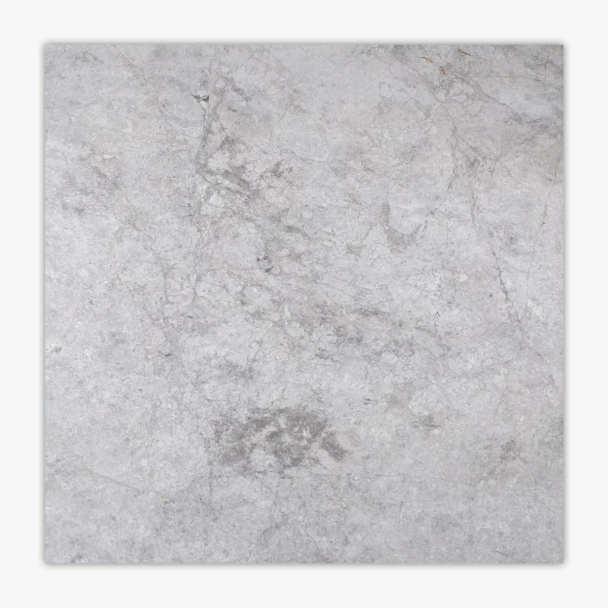 Direct Stone Source 24" x 24" Marble Stone Look Wall & Floor Tile | Wayfair