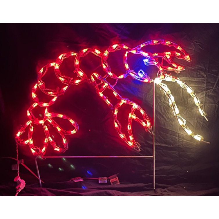 Lori's Lighted D'Lites Crayfish Nautical Holiday Lighted Display | Wayfair