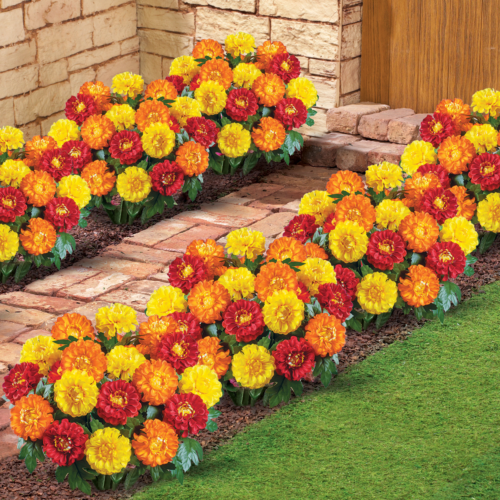 Primrue Marigold Bushes Set Of 3 & Reviews | Wayfair