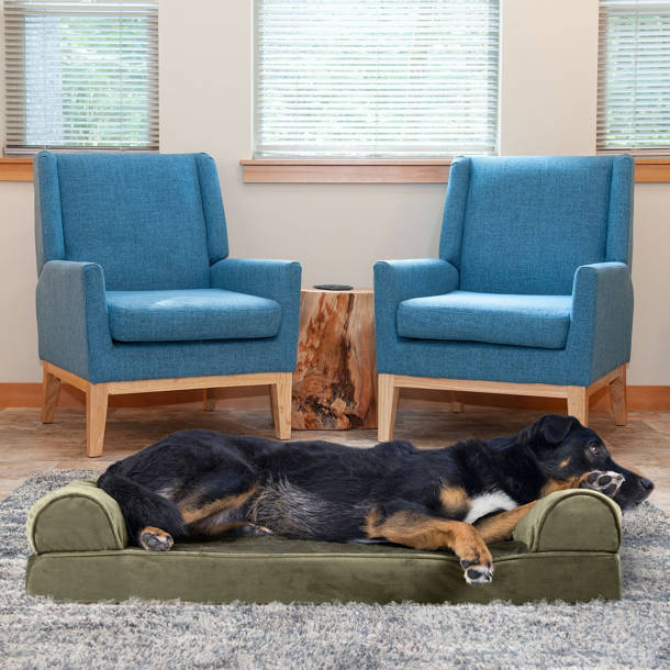 Archie & Oscar™ Timmy Large, Medium, And Small Dog Ramp For Couch ...