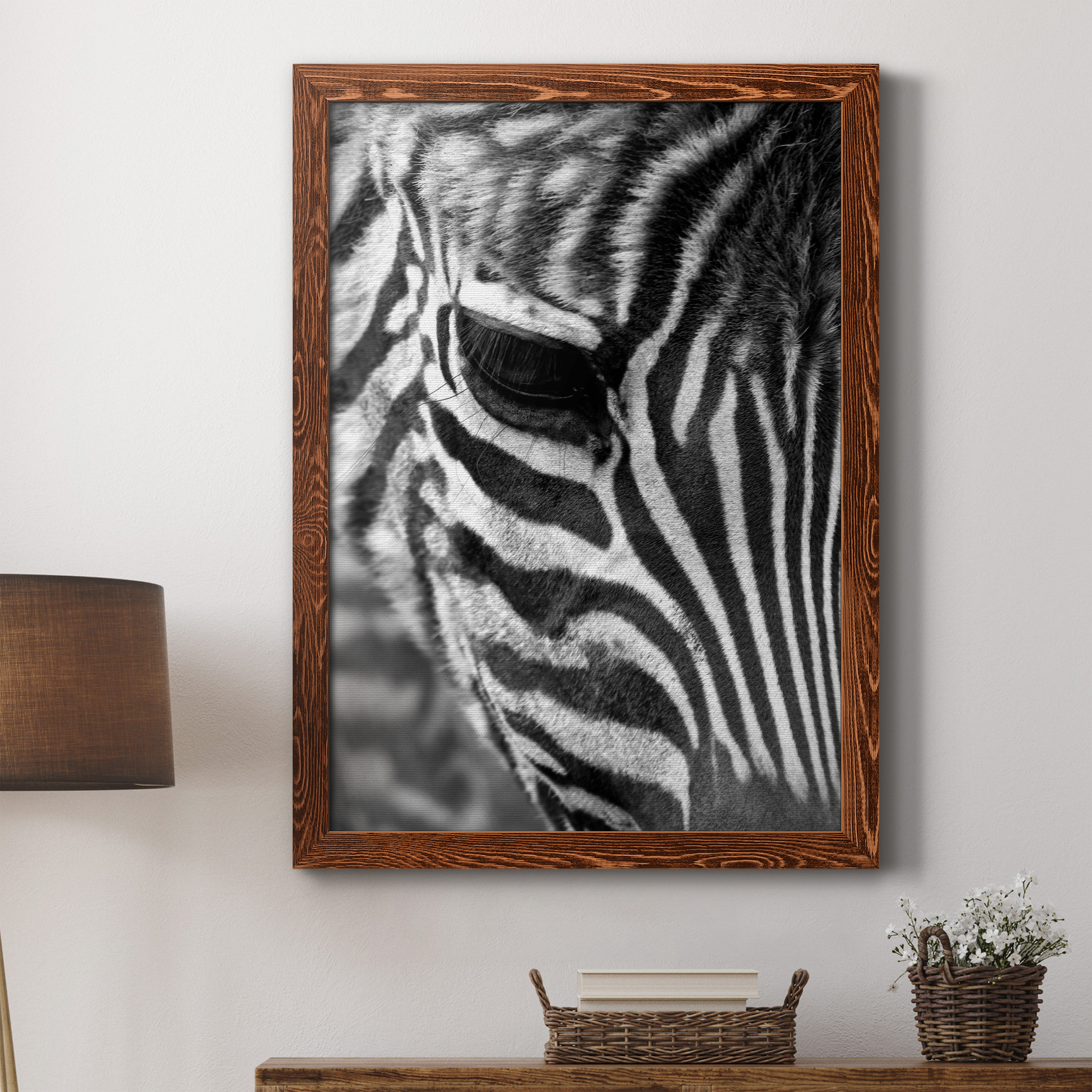 Ebern Designs Zebra Colt Framed On Canvas Photograph | Wayfair