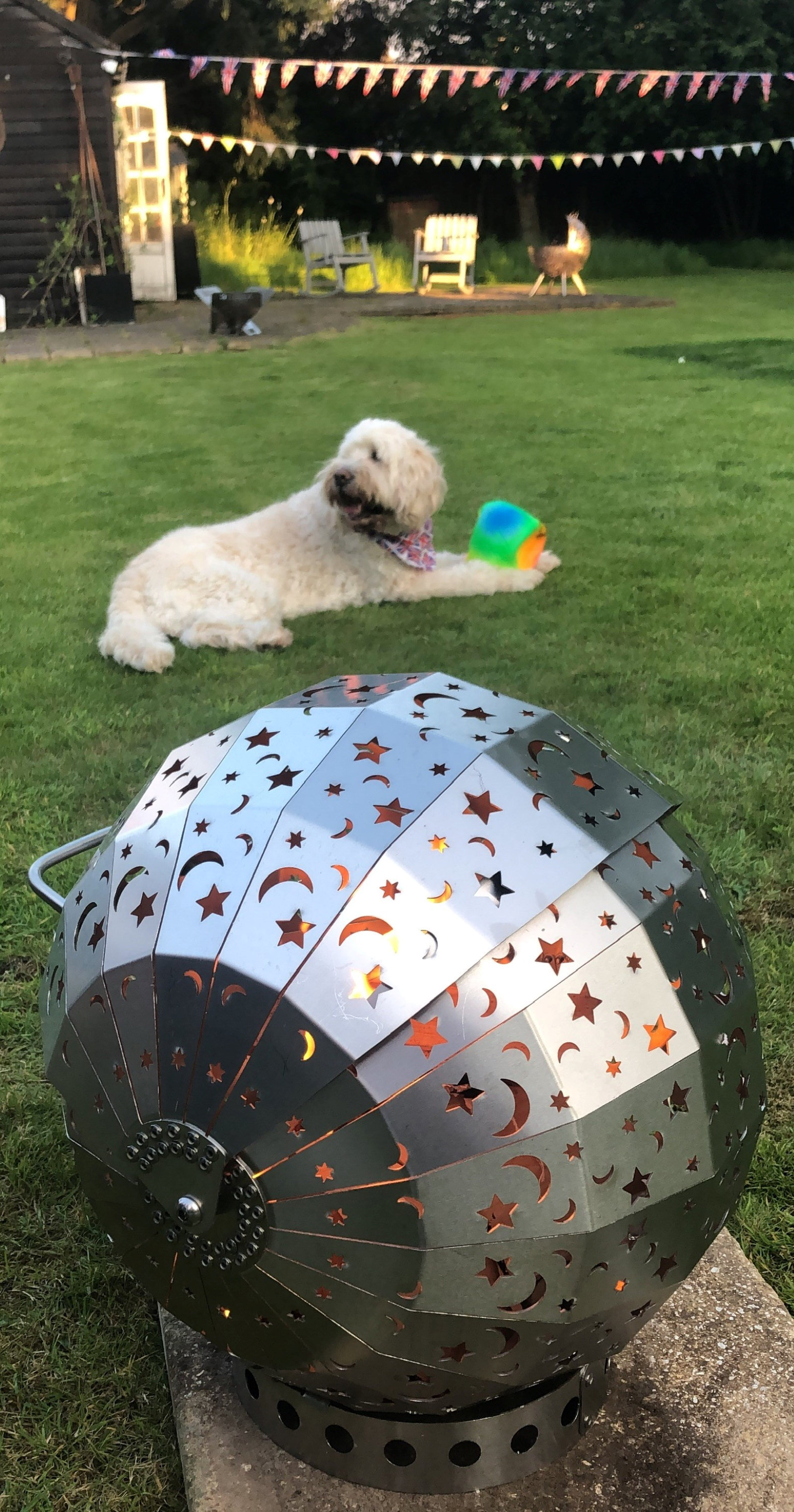 Borough Wharf Moby 47Cm H x 45Cm W Stainless Steel Wood Burning Outdoor ...