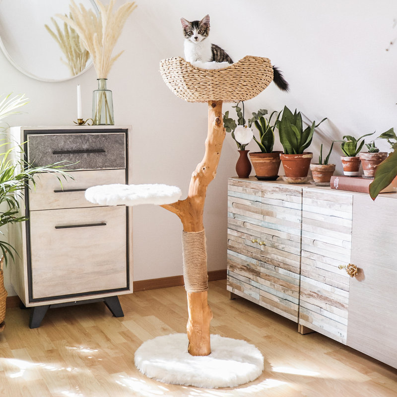Archie & Oscar™ 43" Lina Cat Tree & Reviews | Wayfair