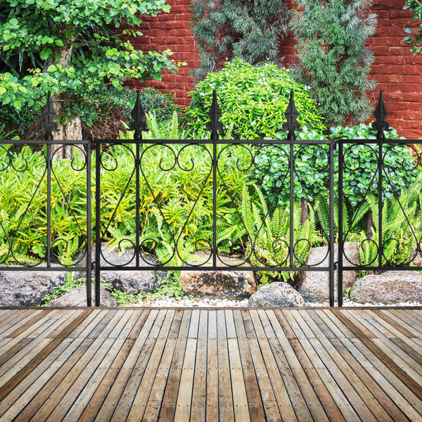 Dakota Fields Amla 62' x 61' (0.62m x 0.61m) Farming and Gardening ...