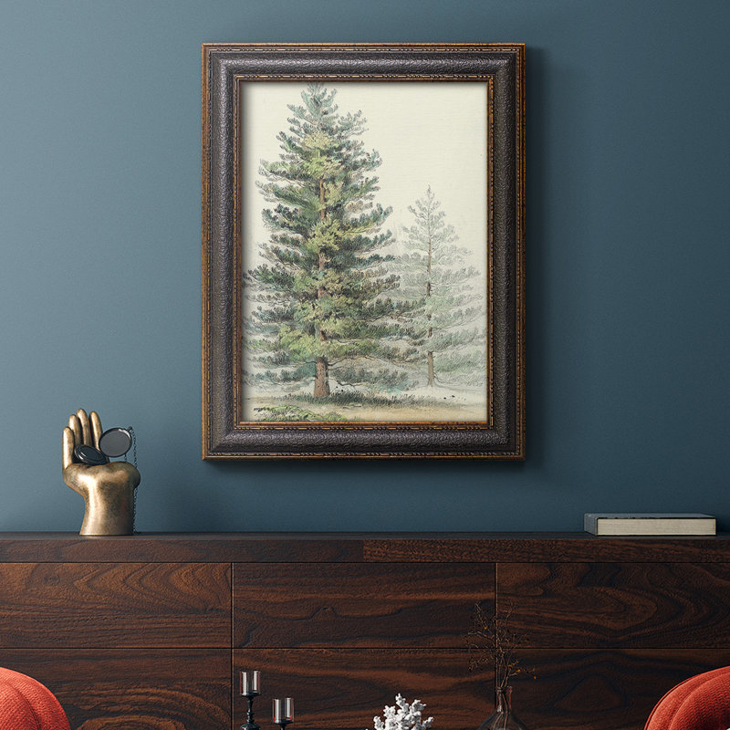 Millwood Pines Majestic Pine I Framed On Canvas Print | Wayfair