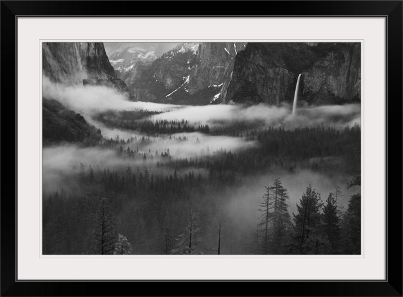 The Twillery Co.® Straub Hong Zeng - Photograph | Wayfair