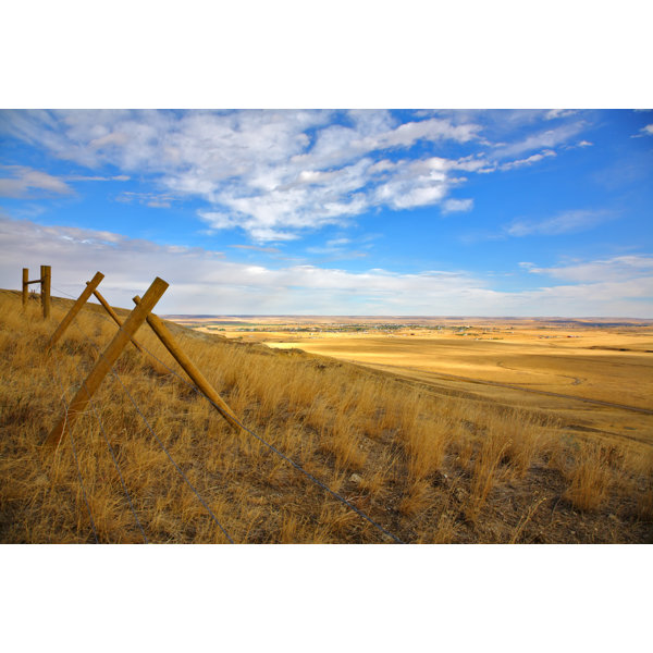 Ebern Designs American Prairie by Kavram - Wrapped Canvas Photograph ...