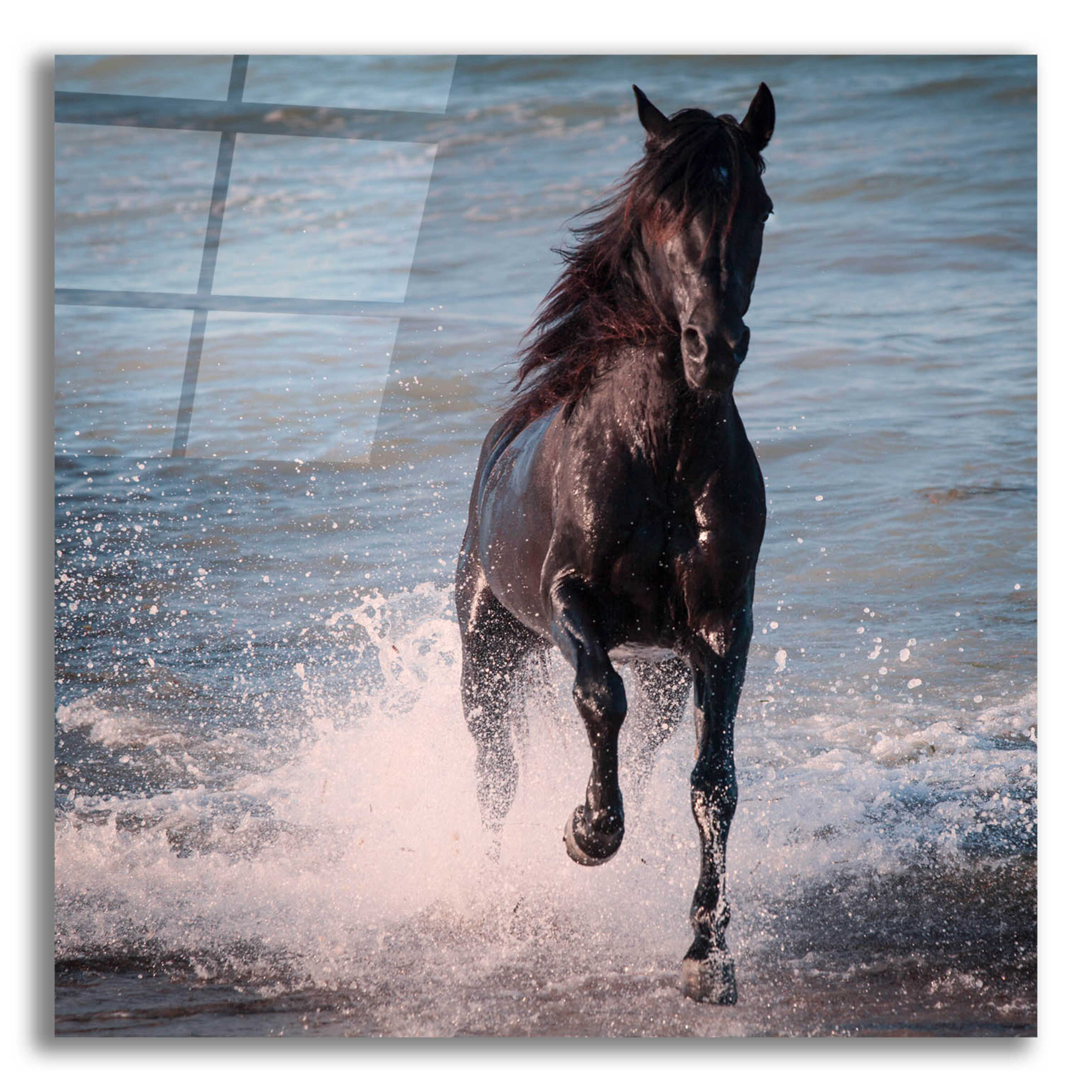 Union Rustic Epic Art 'Wet' By Susan Friedman, Acrylic Glass Wa Wet by ...
