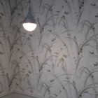 Three Posts™ Krauss Floral Wallpaper & Reviews | Wayfair