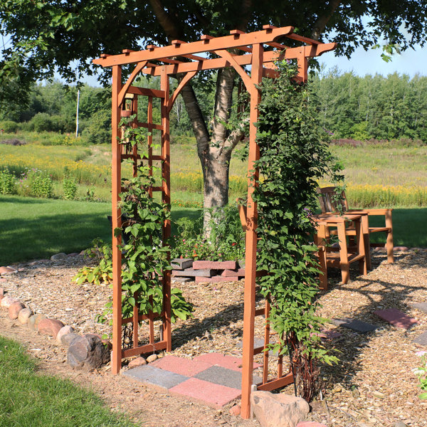 Red Barrel Studio® Sharleen Outdoor Garden Wood Arbour & Reviews ...