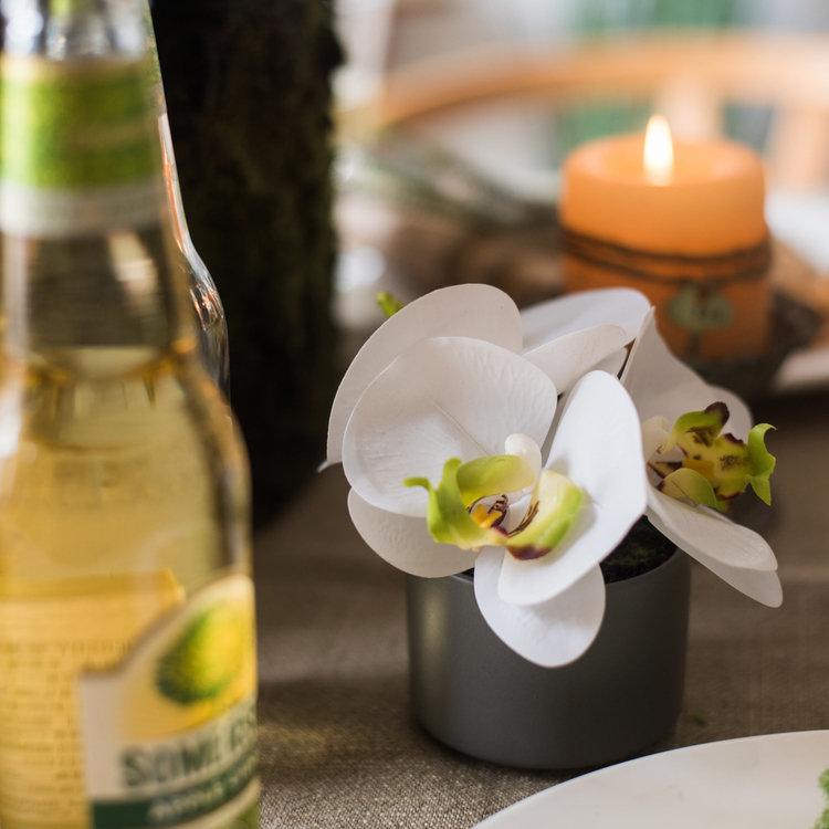 Wrought Studio Mini Orchid Floral Arrangement in Pot & Reviews | Wayfair