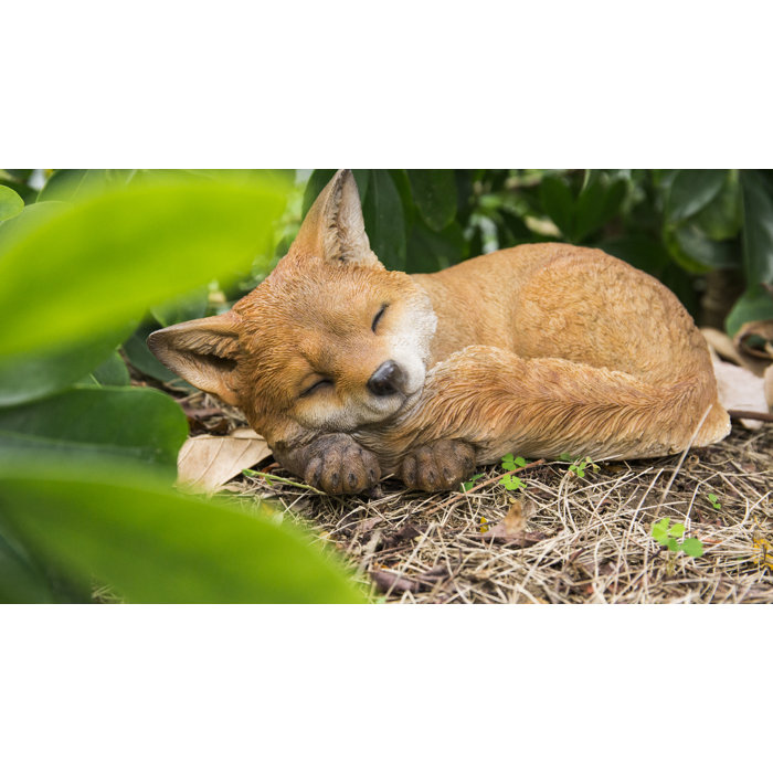 Hi-Line Gift Ltd. Fox Pup Sleeping Statue & Reviews | Wayfair