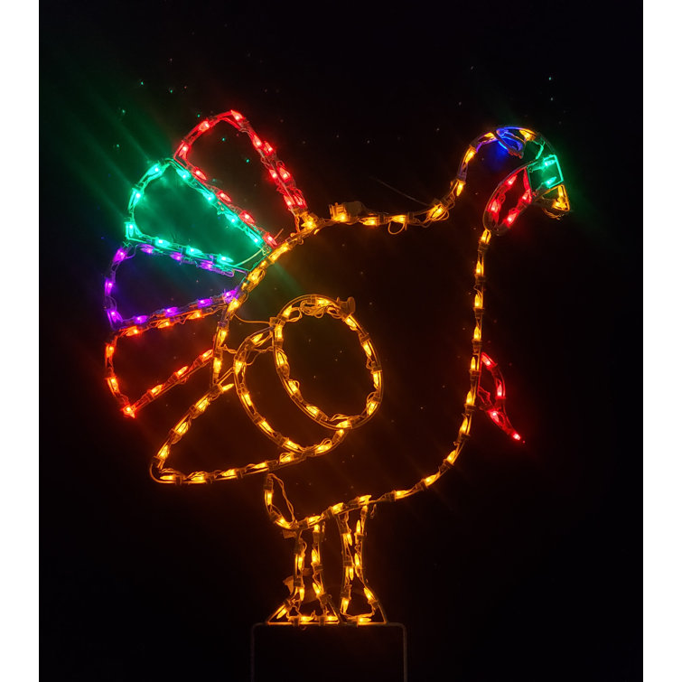 Lori's Lighted D'Lites Thanksgiving Turkey Holiday Lighted Display ...