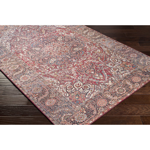 Langley Street Fleckenstein Performance Red/Blue Rug | Wayfair