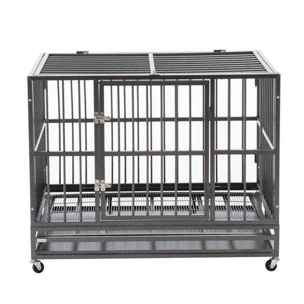 Tucker Murphy Pet™ Hamish Pyramid Double Diner & Reviews | Wayfair