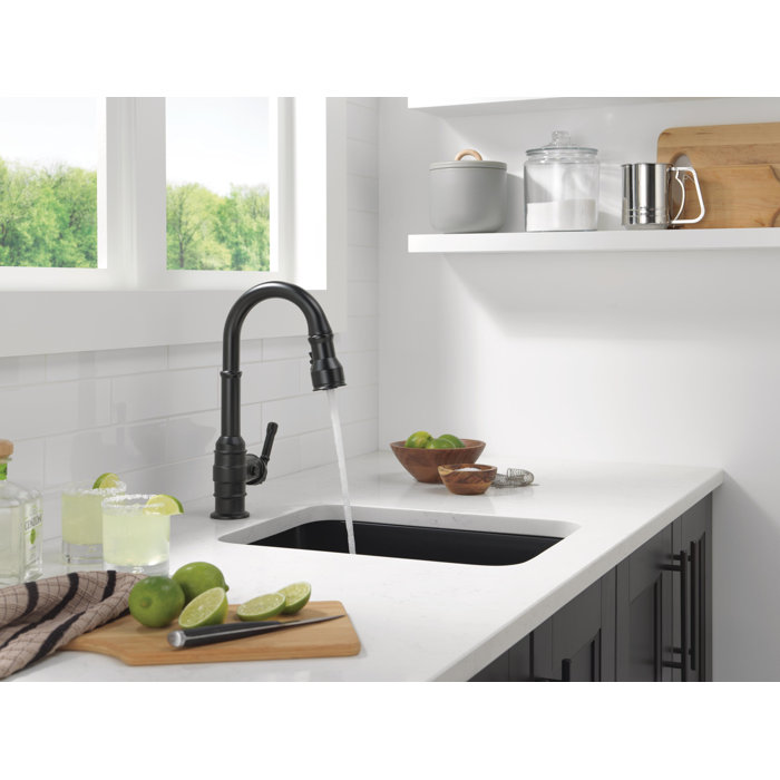 Delta Broderick Pull Down Single Handle Kitchen Faucet With Accessories ...