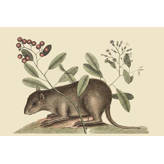 Canora Grey Javin Metal Desk Lamp | Wayfair