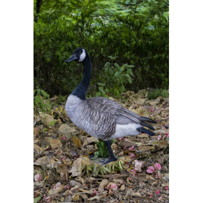 Hi-Line Gift Ltd. Standing Canada Goose Statue | Wayfair