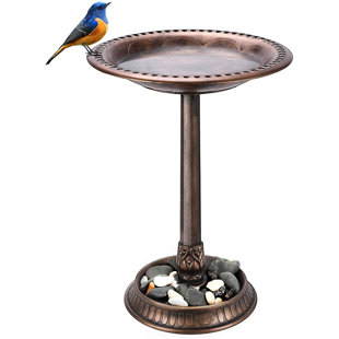 Wayfair | Bird Baths You'll Love in 2023