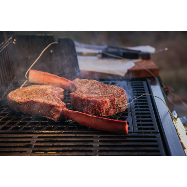Weber Crafted Dual Sided Sear Grate & Reviews | Wayfair