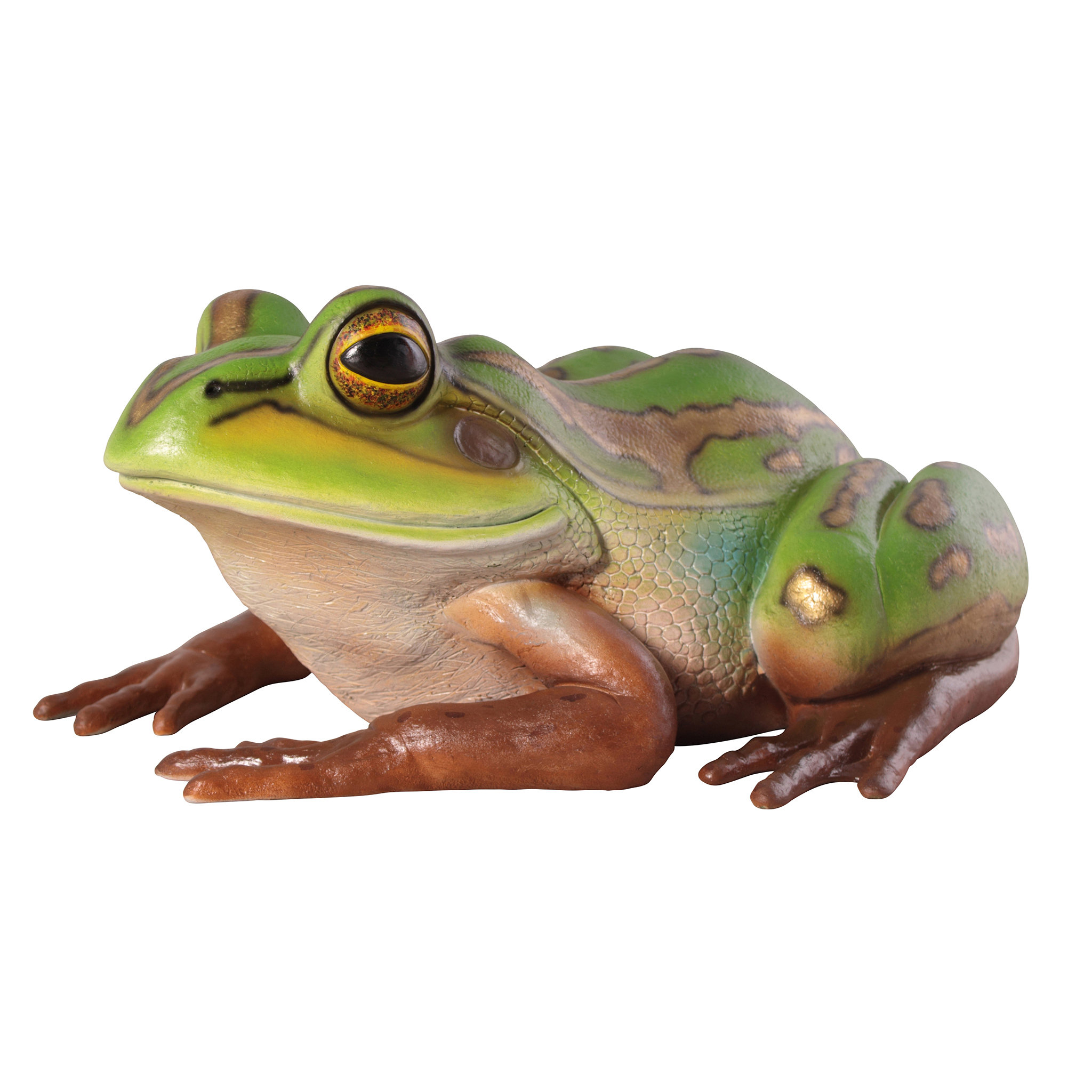 Design Toscano The Pine Barrens Giant Garden Tree Frog Statue & Reviews ...