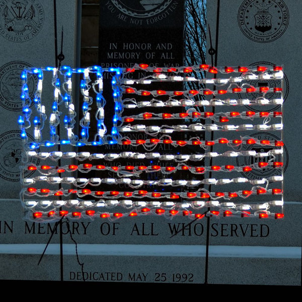 Brite Ideas American Flag LED Light | Wayfair