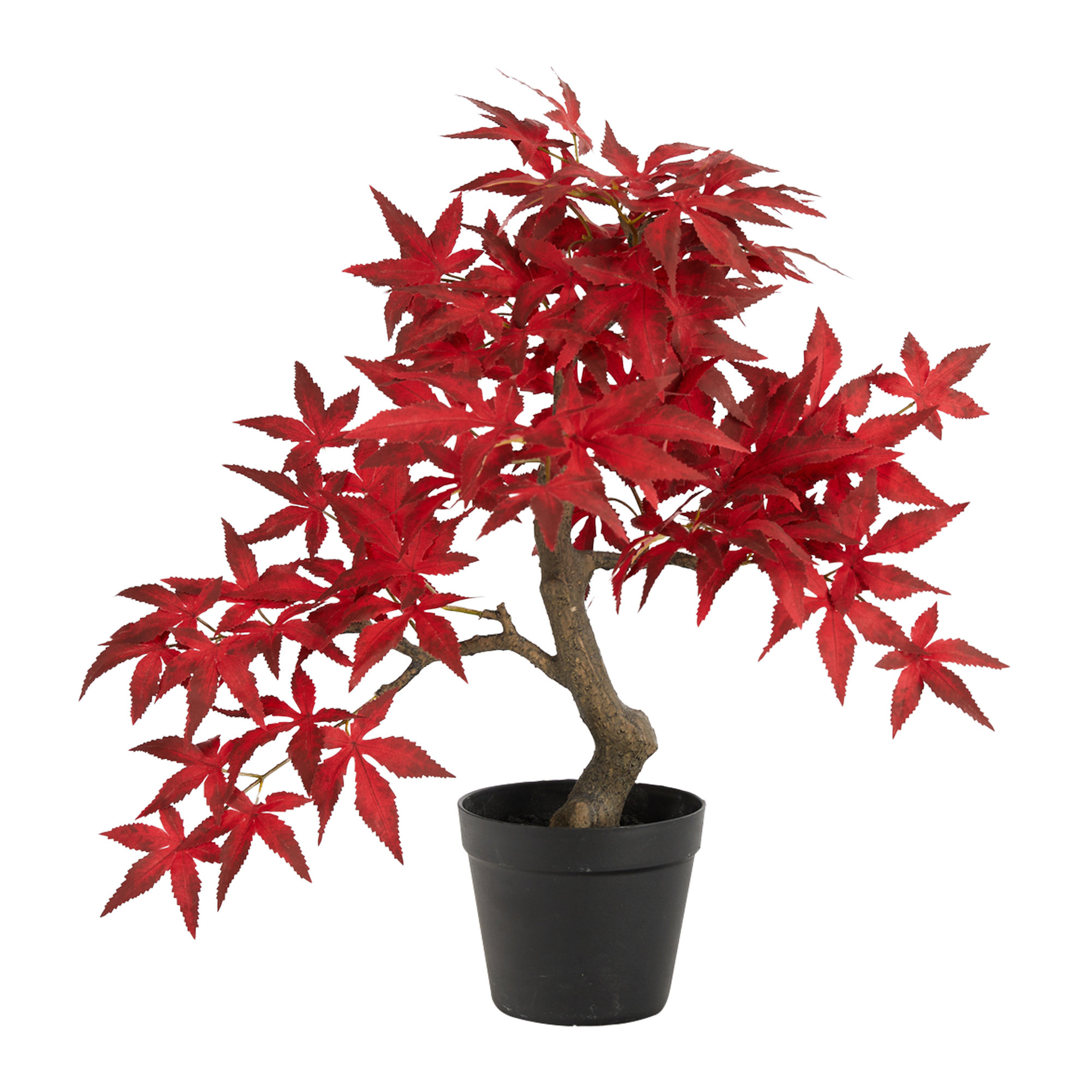 Primrue 20'' Faux Bonsai Tree in Pot | Wayfair