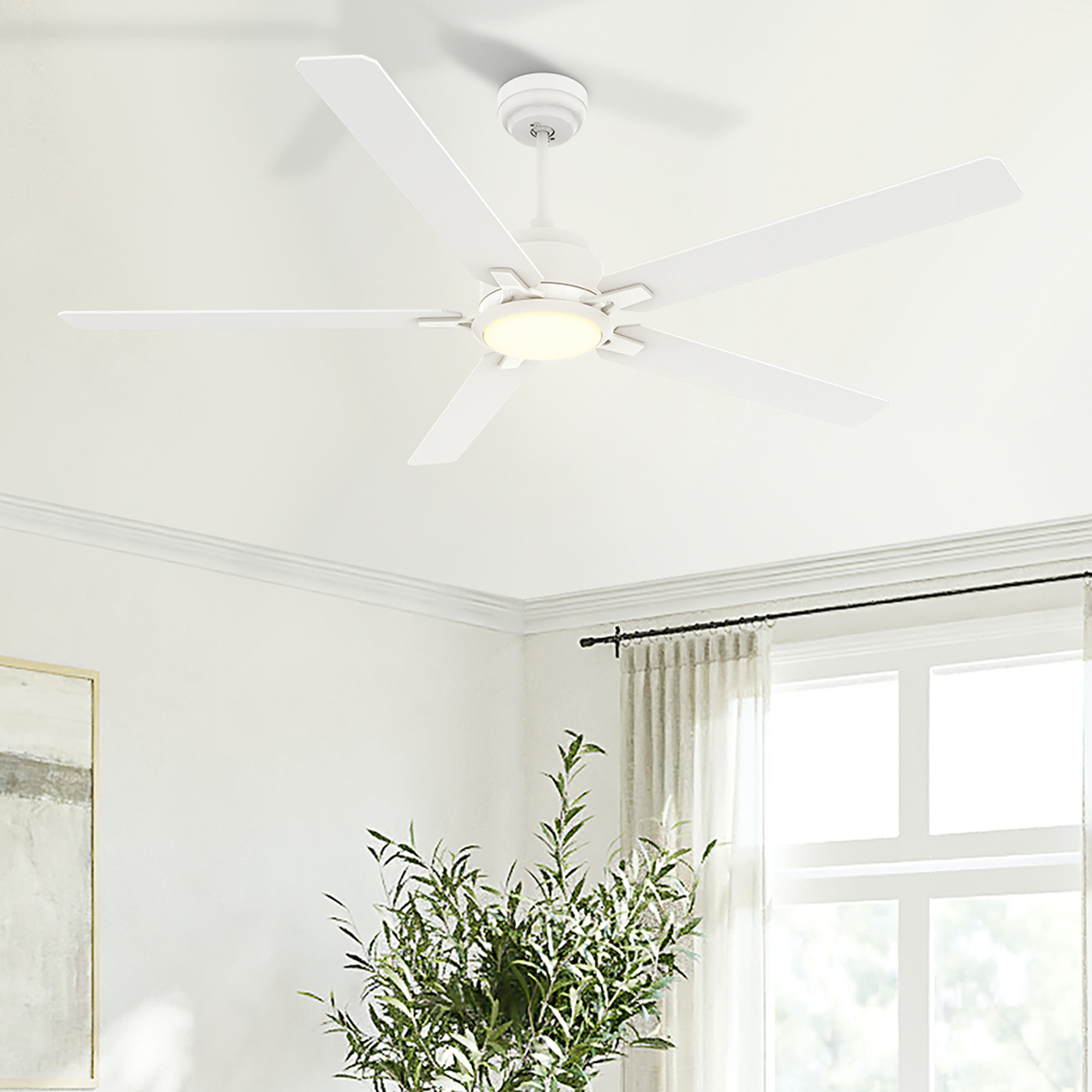 Ivy Bronx Amonette 60'' Ceiling Fan with LED Lights | Wayfair
