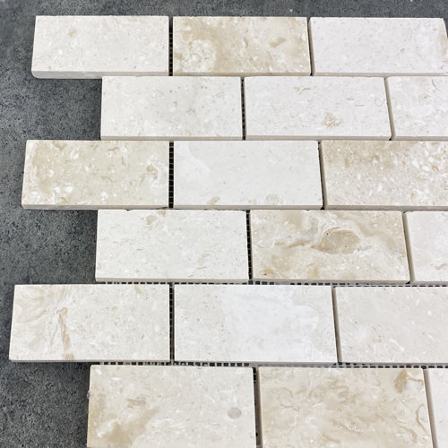 Miletos Stone Collection Shellstone 2" x 4" Travertine Mosaic Tile ...