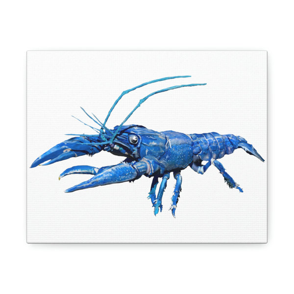 Rosecliff Heights Blue Crawfish - Unframed Illustration on Canvas | Wayfair
