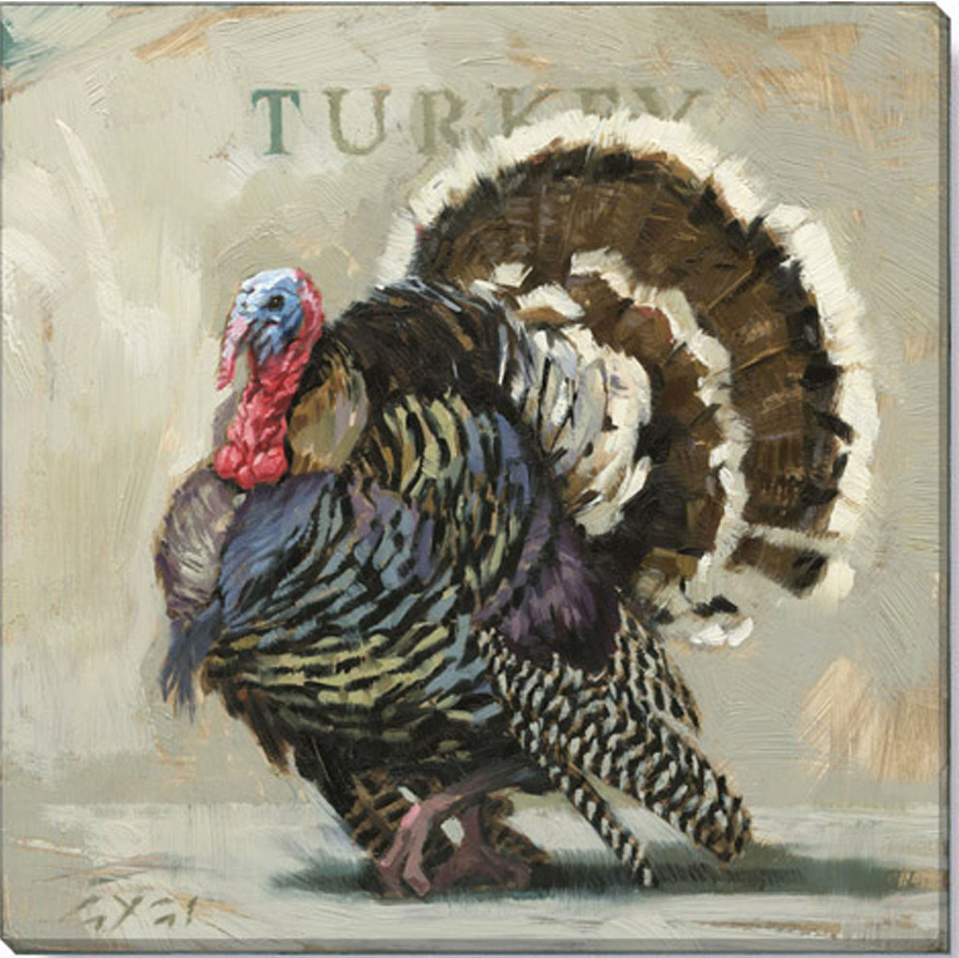 Darren Gygi Home Collection Turkey Giclee Wall Art by Darren Gygi ...