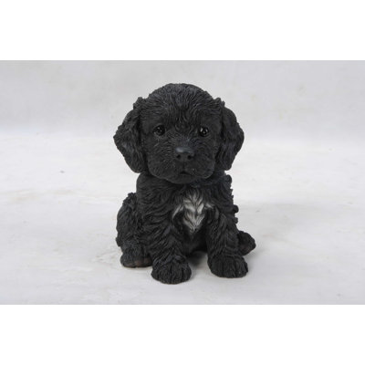 Hi-Line Gift Ltd. Sitting Cockapoo Puppy Statue & Reviews | Wayfair