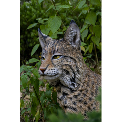 Hi-Line Gift Ltd. Sitting Bobcat Statue | Wayfair