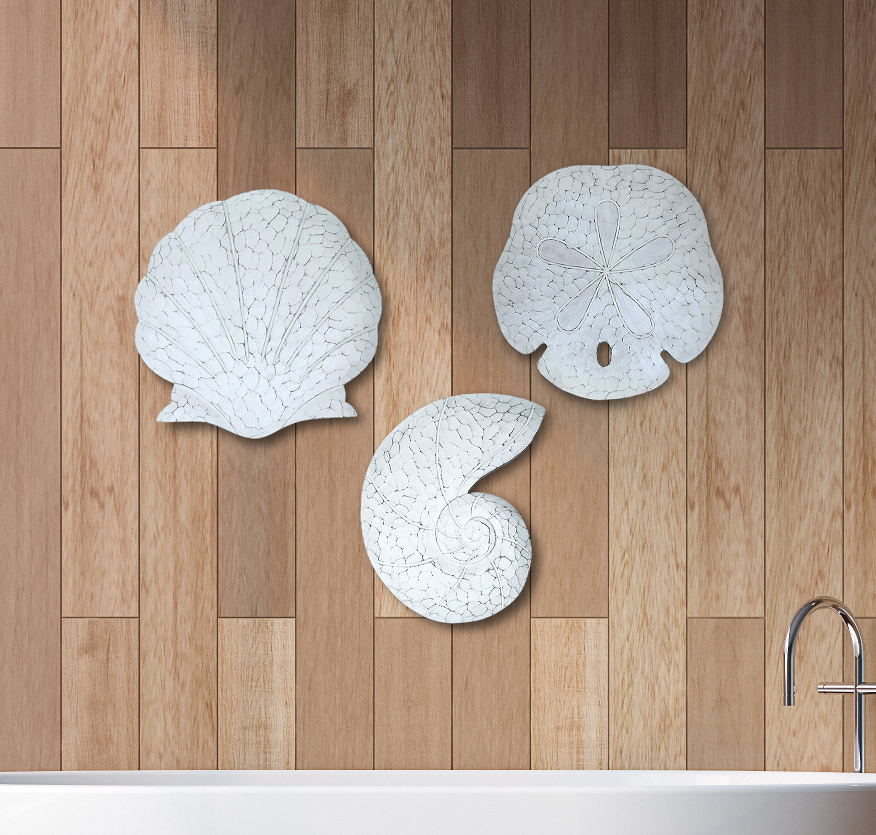 Rosecliff Heights 3 Piece Shells Wall Décor Set & Reviews | Wayfair