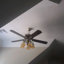 FINXIN 52'' Ceiling Fan with Light Kit & Reviews | Wayfair