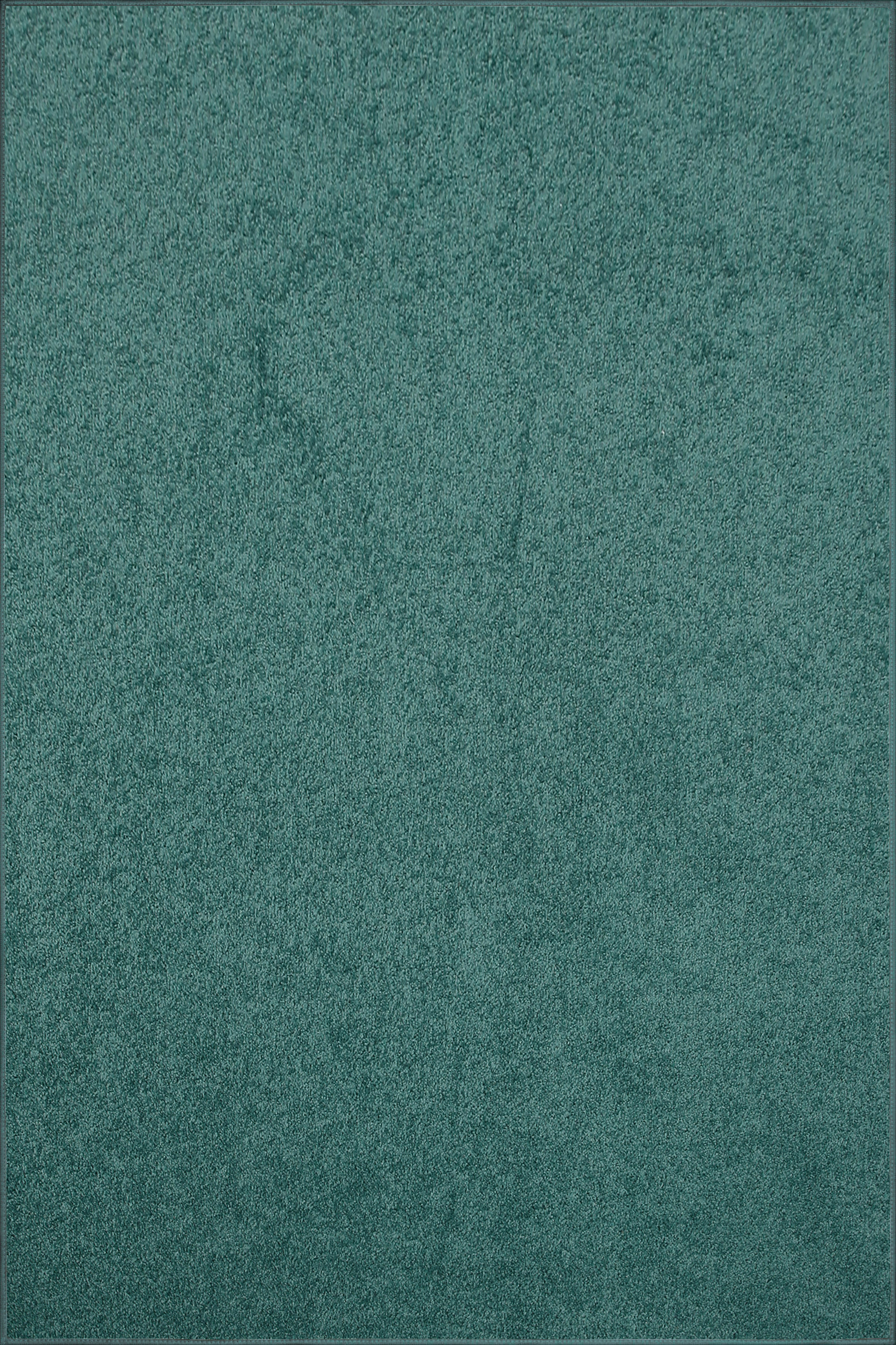 Latitude Run® Teal Area Rug & Reviews | Wayfair