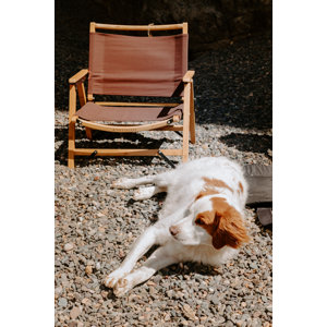 Arlmont & Co. Mariam Folding Camping Chair | Wayfair