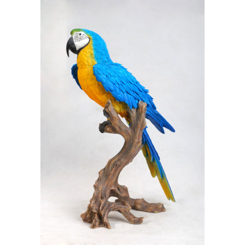 Hi-Line Gift Ltd. Macaw Statue & Reviews | Wayfair
