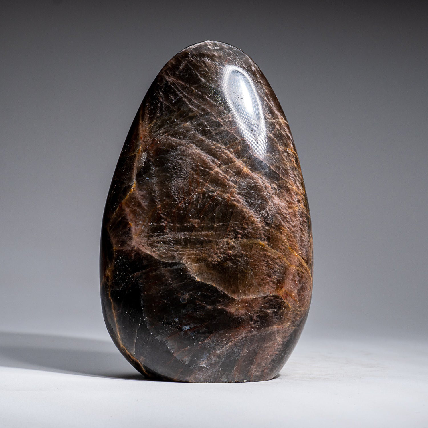Astro Gallery of Gems Genuine Polished Black Moonstone Freeform from ...