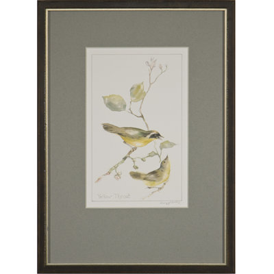 The Natural Light Daughdrill Yellow Throat by Daughdrill | Perigold