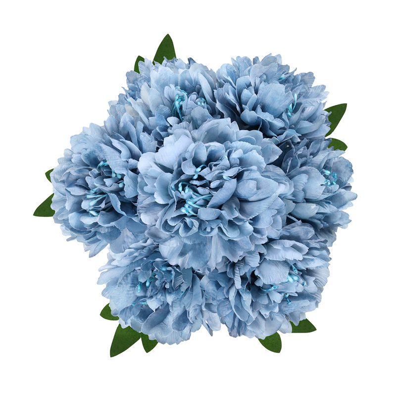 Primrue Lush Peony Bush | Wayfair