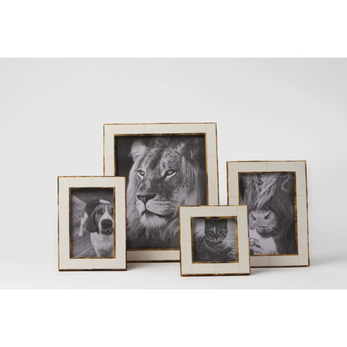 Joss & Main Dacey Picture Frame & Reviews | Wayfair