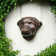 Michael Healy Labrador Retriever Door Knocker & Reviews | Wayfair