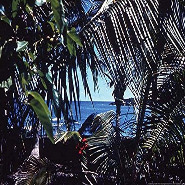 MH Handel Hawaii - Gallery Wrapped 28"X42" Canvas Print. Wrapped Canvas ...