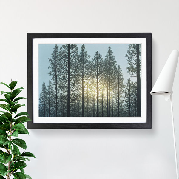 Alpen Home Sweet Pine Tree Forest - Single Picture Frame Graphic Art ...