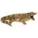 Design Toscano Striker the Alligator Spitter Piped Statue & Reviews ...