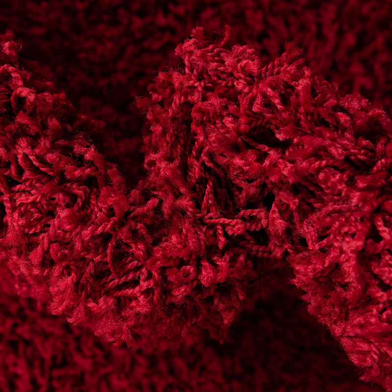 Ebern Designs Angeline Performance Cherry Red Rug & Reviews | Wayfair