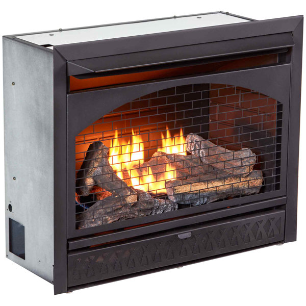 Indoor-gas-fireplace-insert | Wayfair