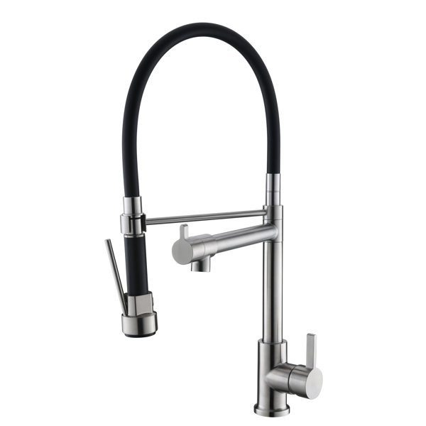 RAEN Lilac Pull Down Kitchen Faucet & Reviews | Wayfair