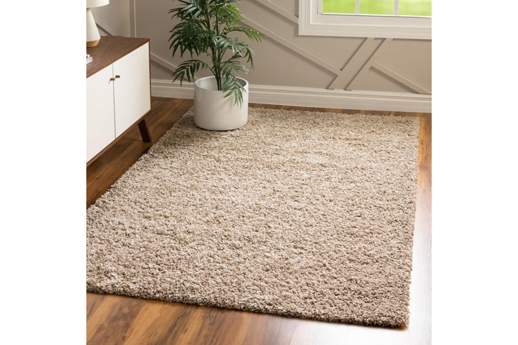 Top 15 Thick (.75"+) Area Rugs in 2023 | Wayfair